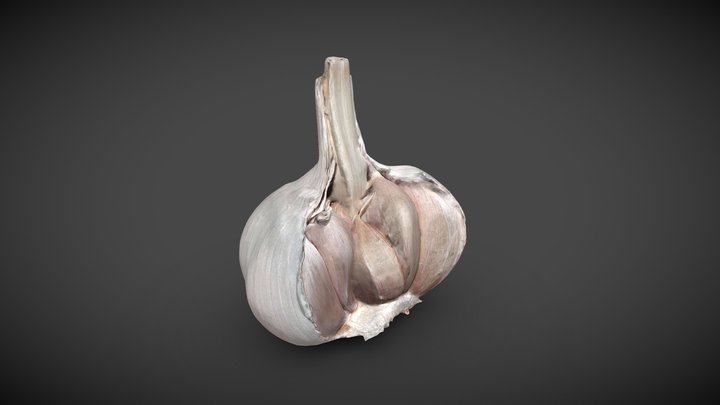 Clove 3D models - Sketchfab