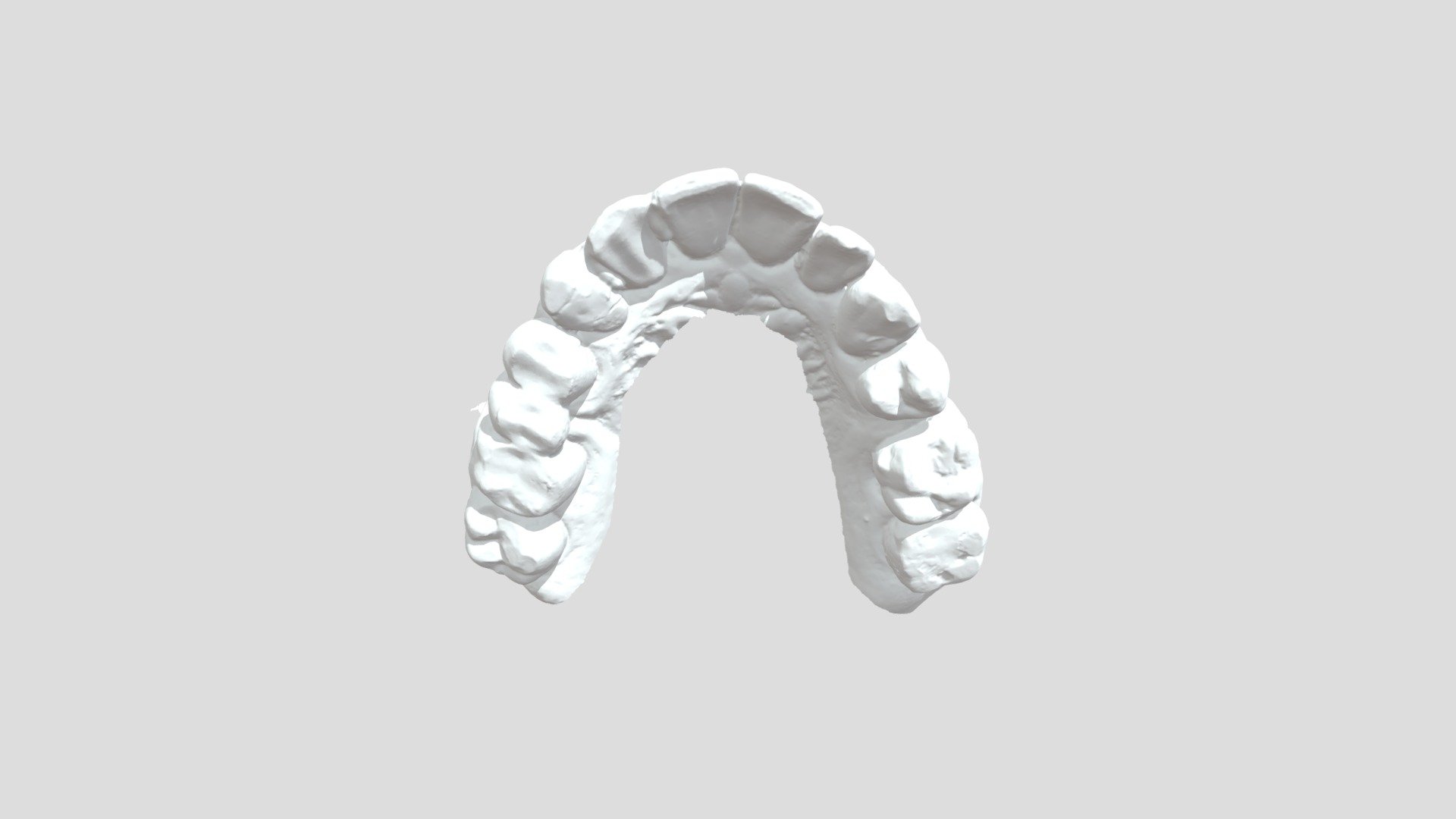 Maxilla_ Base - Download Free 3D model by Mariyana [f452ed2] - Sketchfab