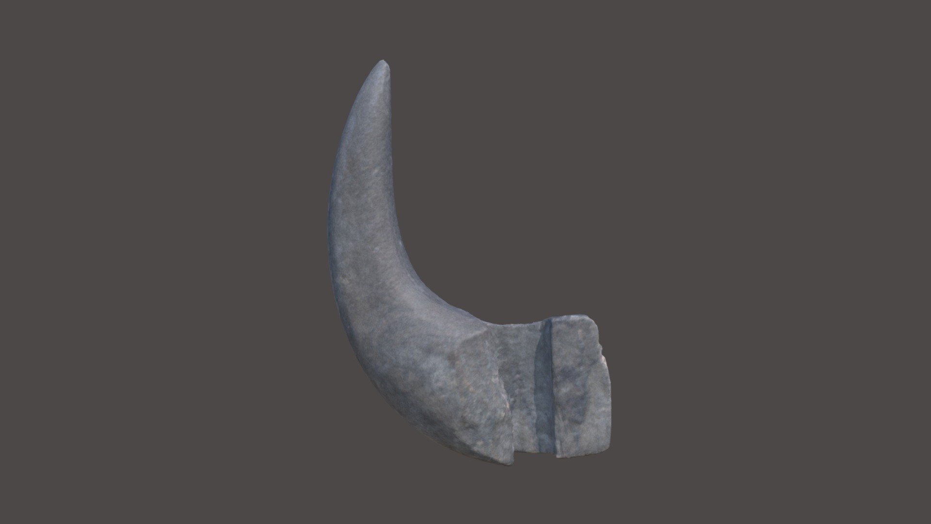 FR058, Late Archaic, Genticulate Atlatl Weight - Download Free 3D model ...