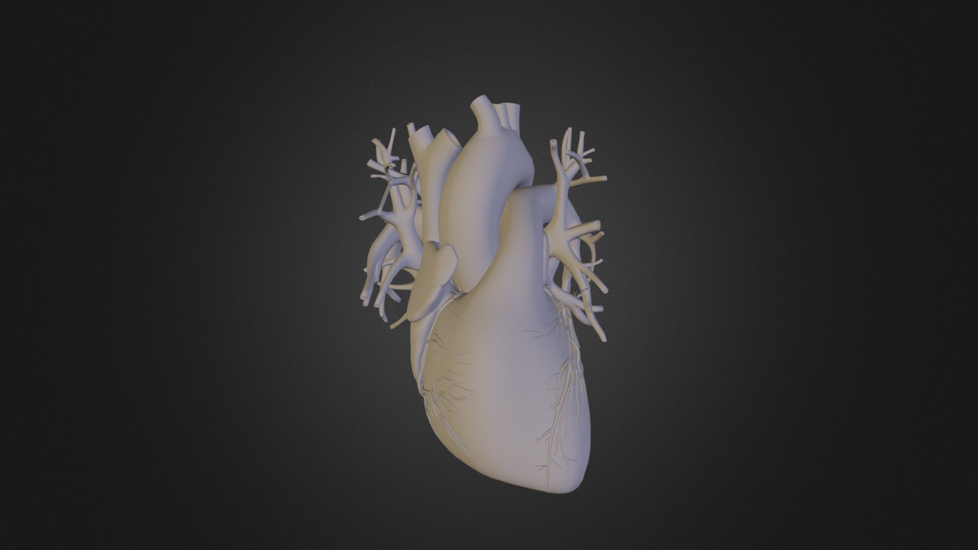 3DI Heart Example - 3D model by High Impact (@highimpact) [f461821 ...