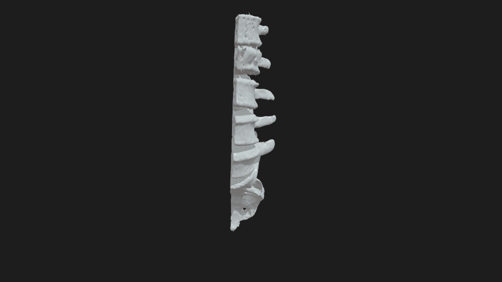 L2# type A1 sag_cut - 3D model by marysolou06 [f462522] - Sketchfab