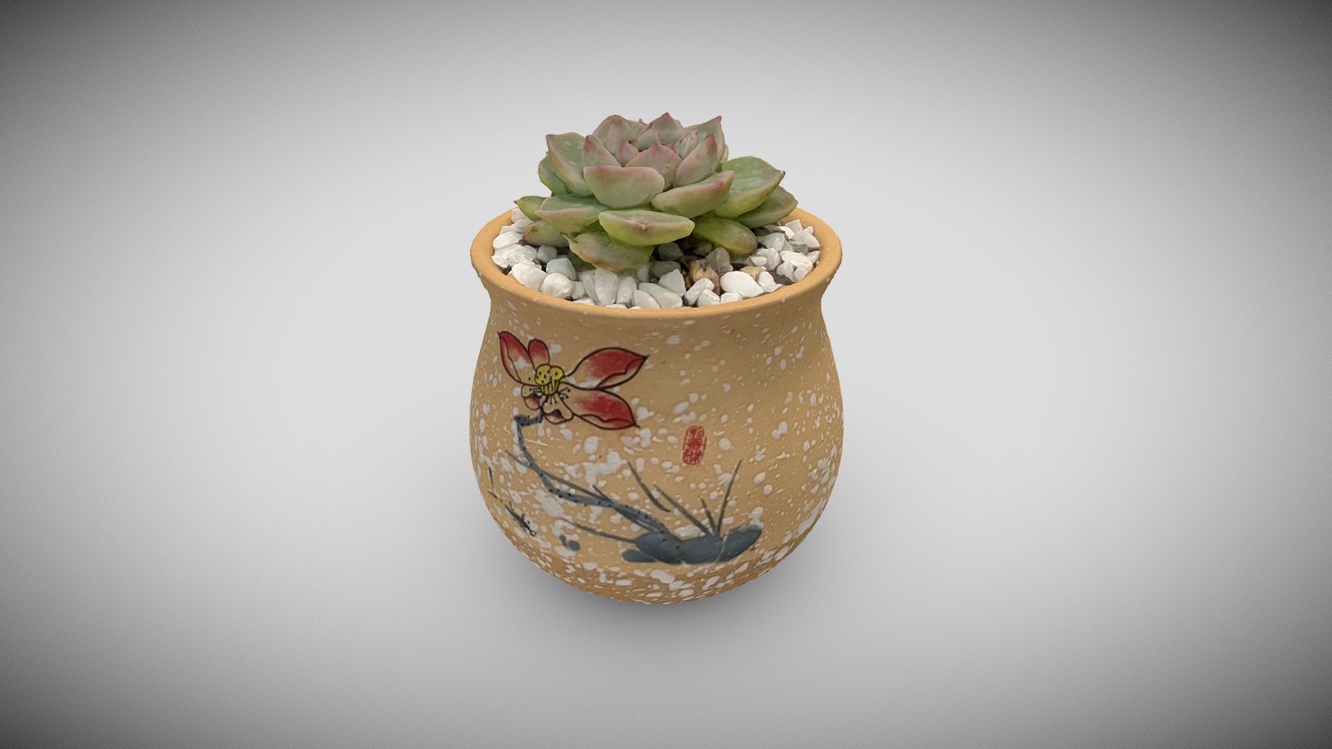 succulent plants1 - 3D model by Wiga [f46e83d] - Sketchfab