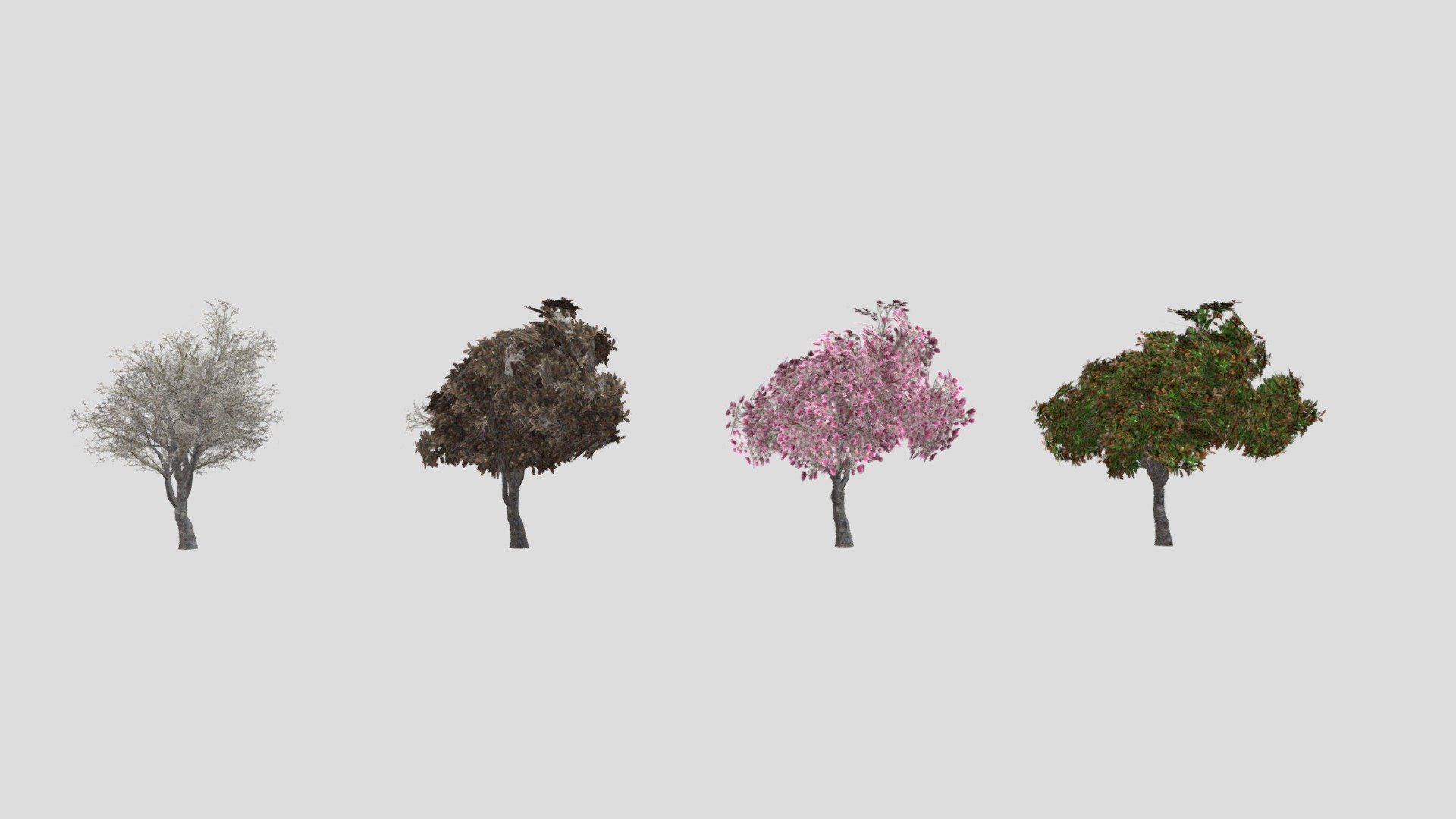 magnolia__scanline - 3D model by mahmodrostamy46 [f472a44] - Sketchfab