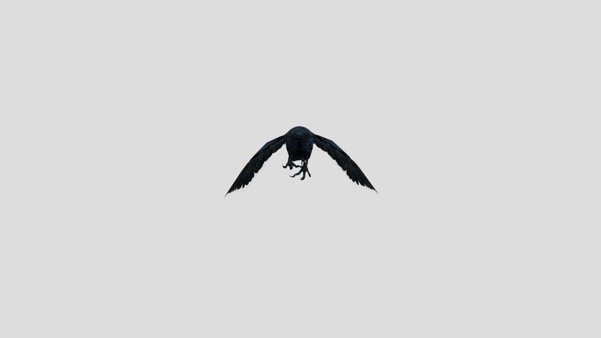 Crow Fly - Download Free 3D model by LostBoyz2078 (@LostModels2025 ...