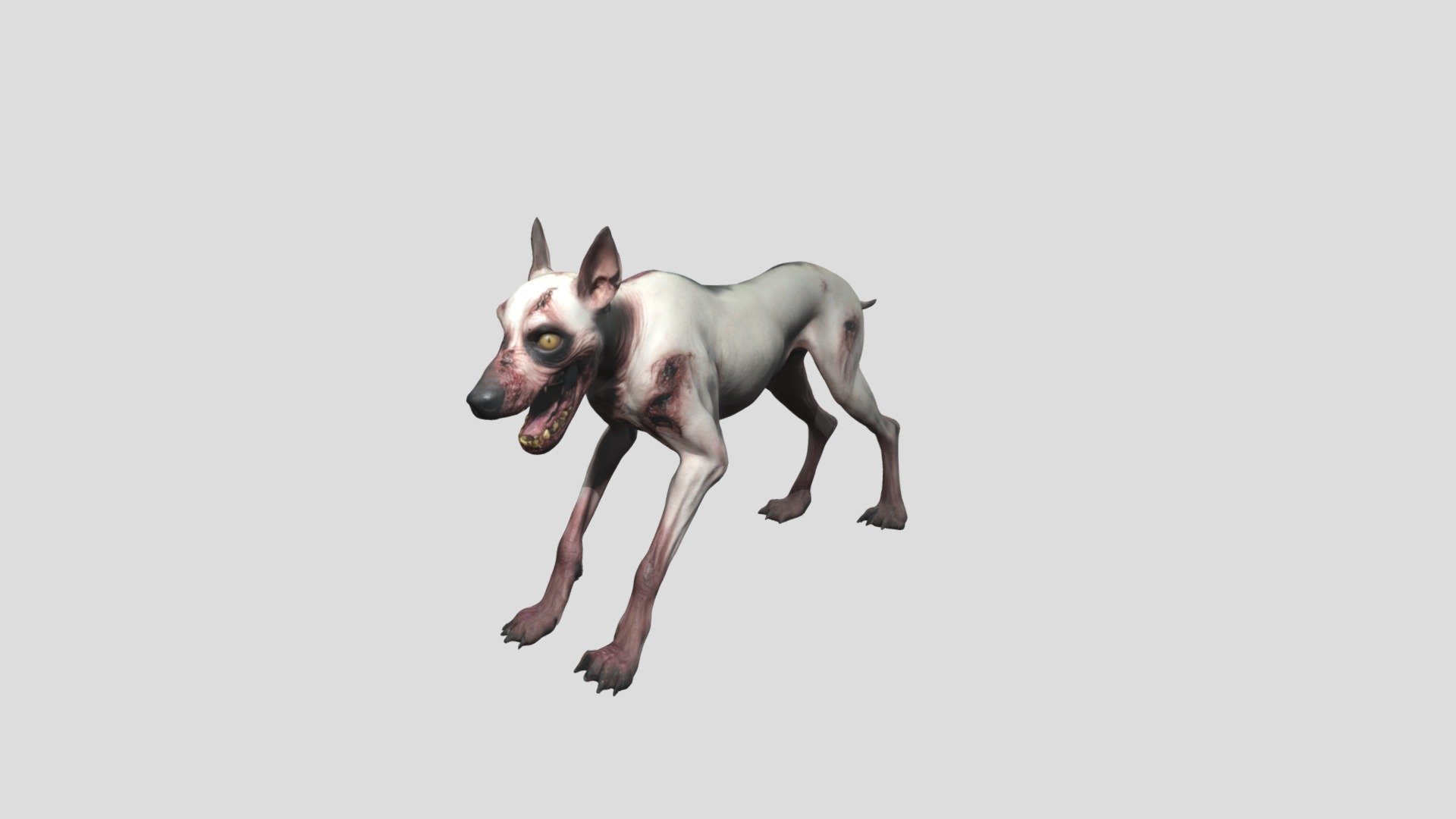 a zombie dog, the breed is a dobberman - 3D model by Anton.Kasian ...
