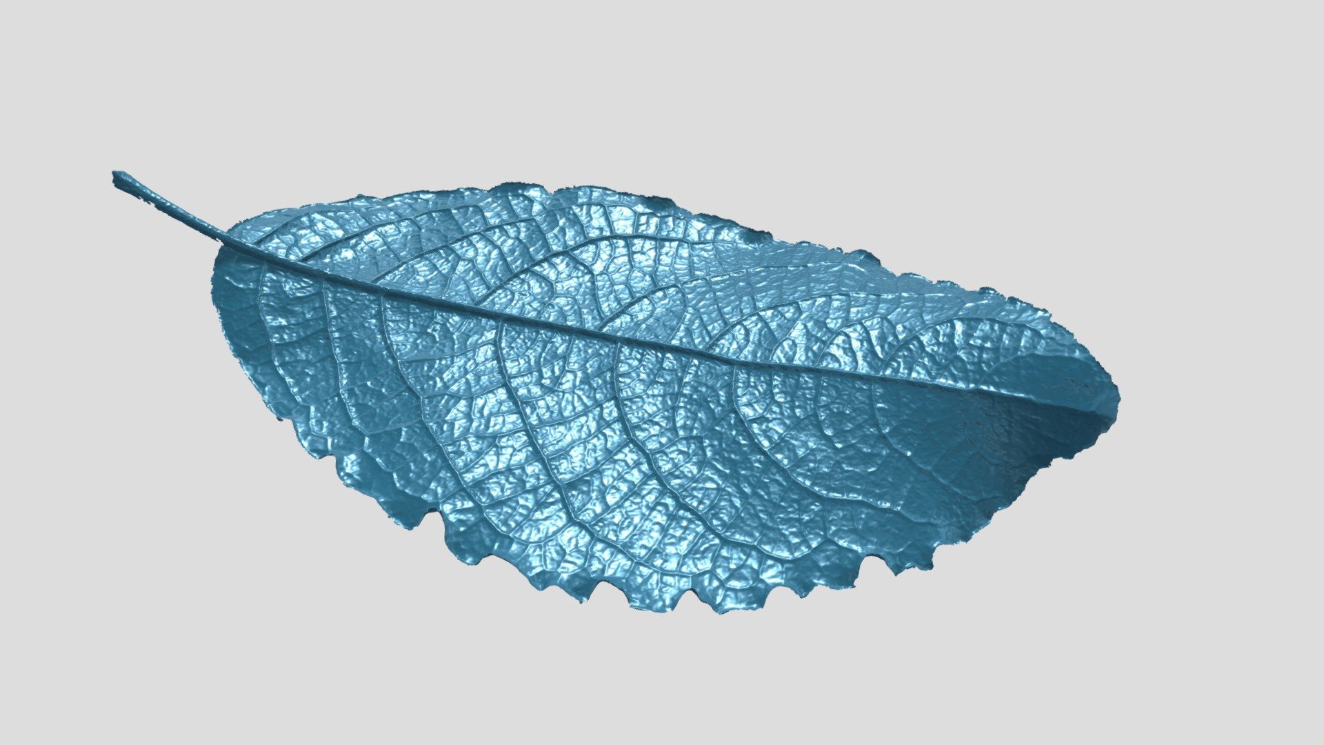 Leaf - 3D model by srbdss (@srbadass) [f4857ff] - Sketchfab