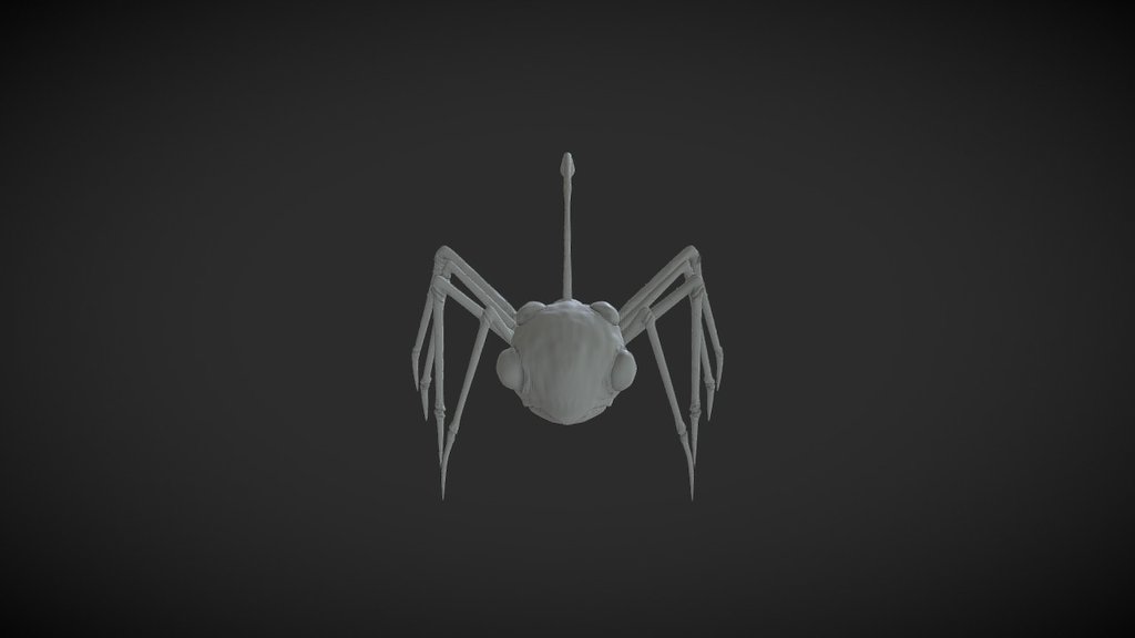 Angler Spider - 3D model by tomviens [f493e02] - Sketchfab