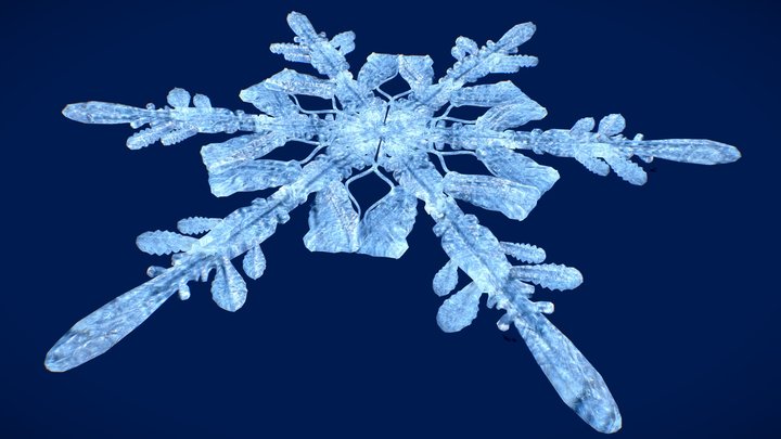Snowflake 3D models - Sketchfab