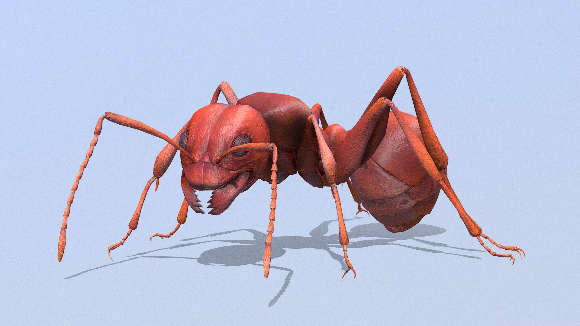 Ant Animated - 3D model by monstermod [f4a1074] - Sketchfab