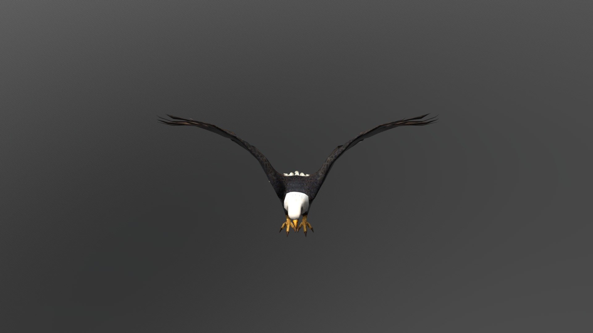 Eagle - 3D model by Chen (@chenjin3d) [f4a7335] - Sketchfab