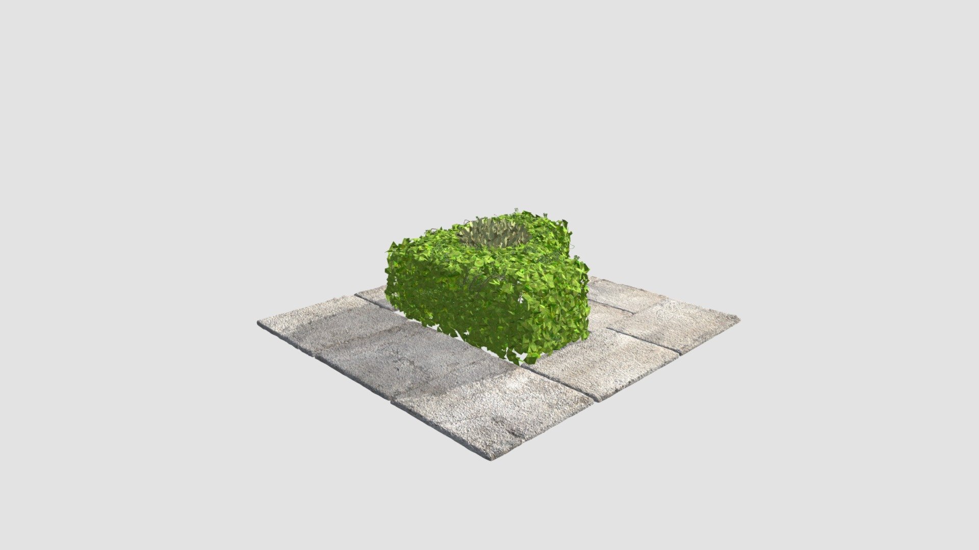hedge - Buy Royalty Free 3D model by Evermotion [f4c001e] - Sketchfab Store