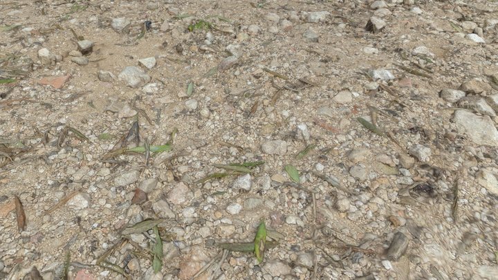 Path 3D models - Sketchfab