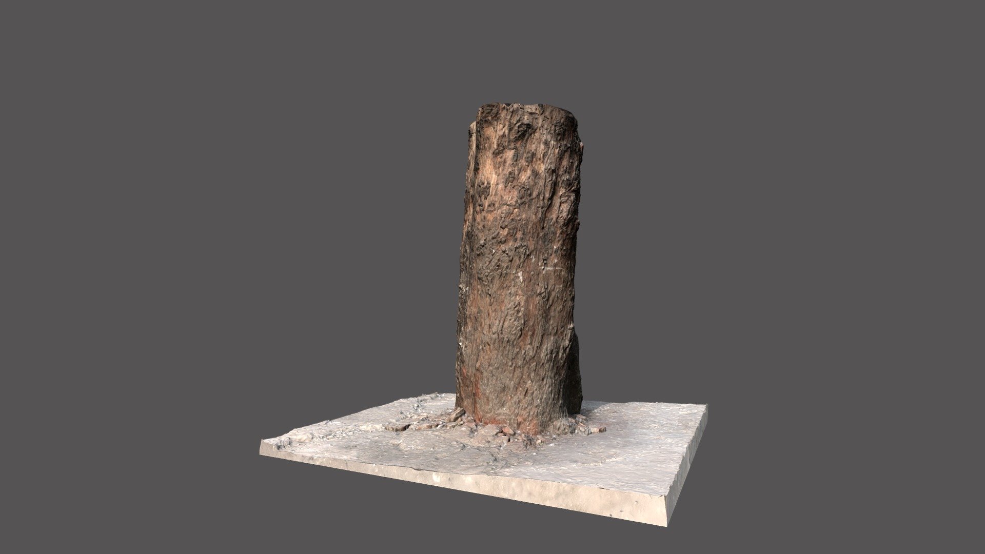 Tree Model - 3D model by Pencillati Studios (@supportPencillati ...
