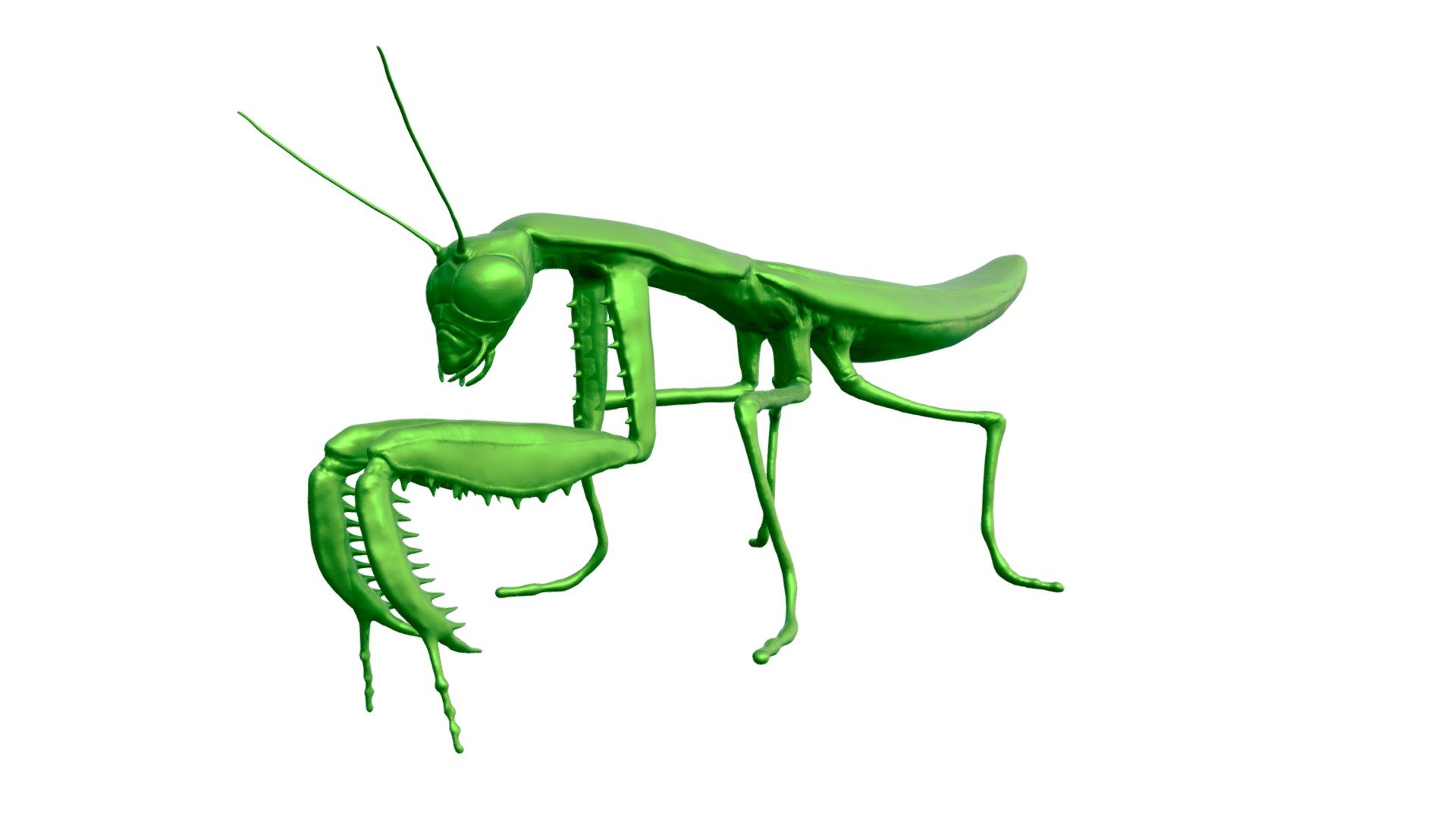 Mantis - 3D model by KARGIN (@cervelat) [f4c85c7] - Sketchfab