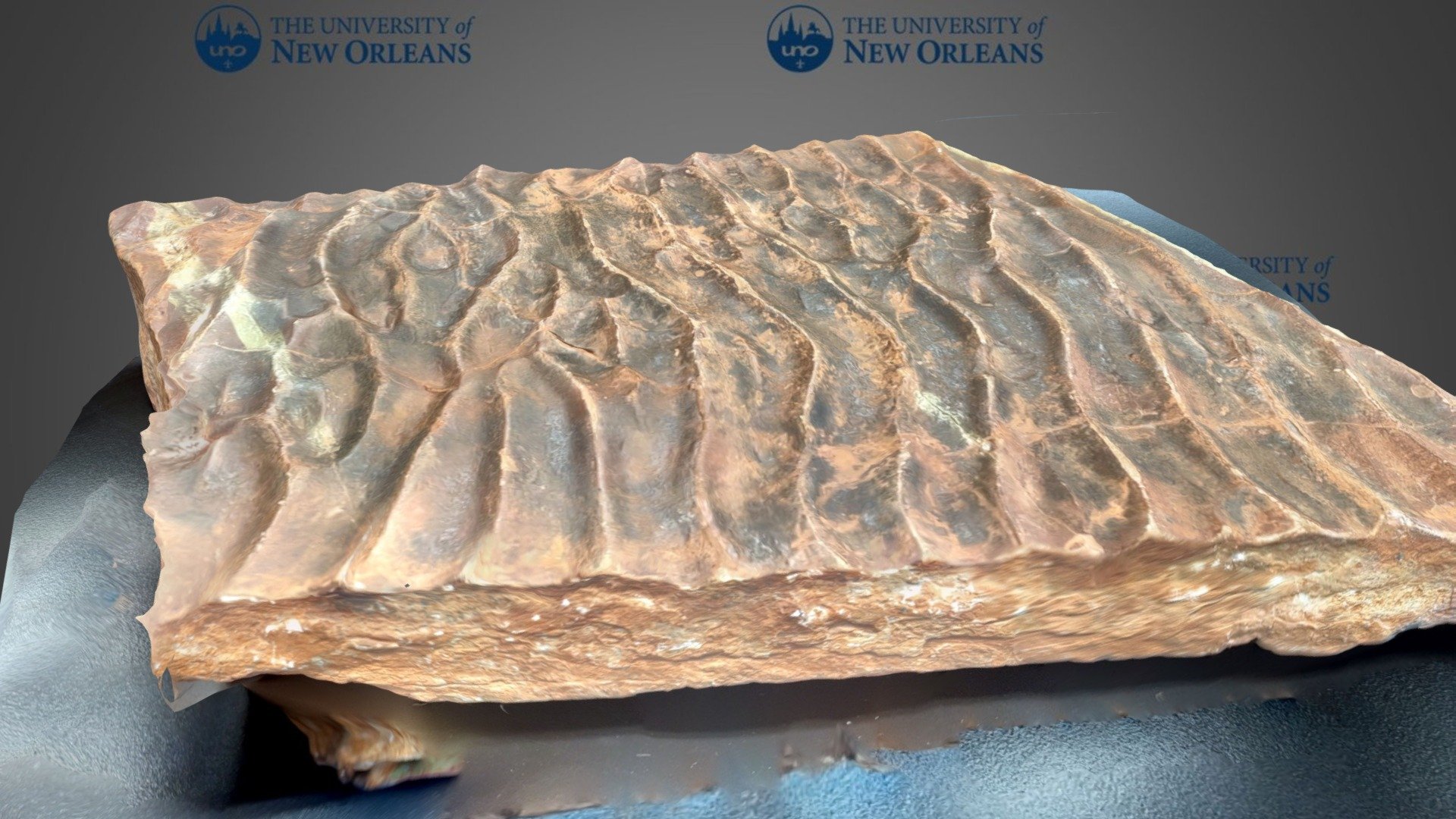 Rippled sandstone - Download Free 3D model by Robert Mahon (@rmahon1 ...