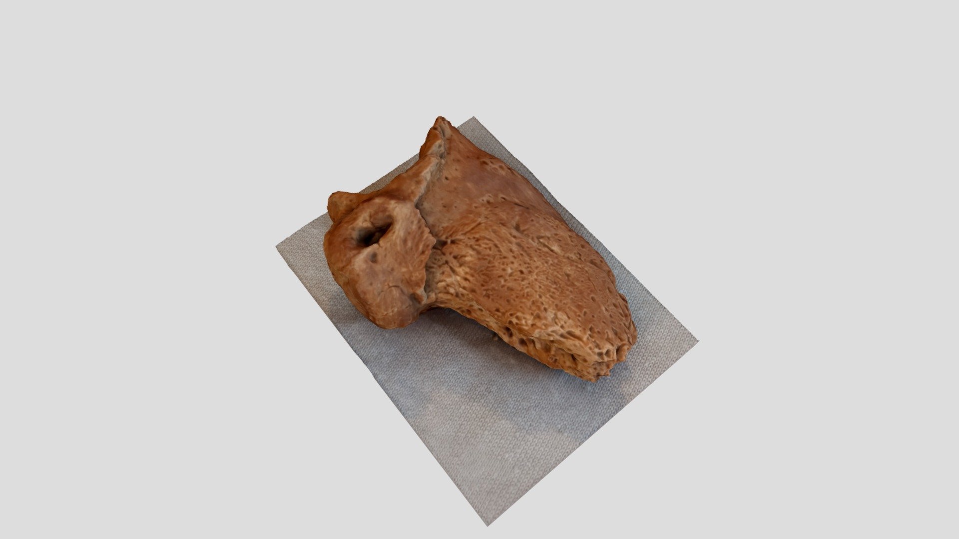 Griffe - Download Free 3D model by zionti [f4cf9ab] - Sketchfab