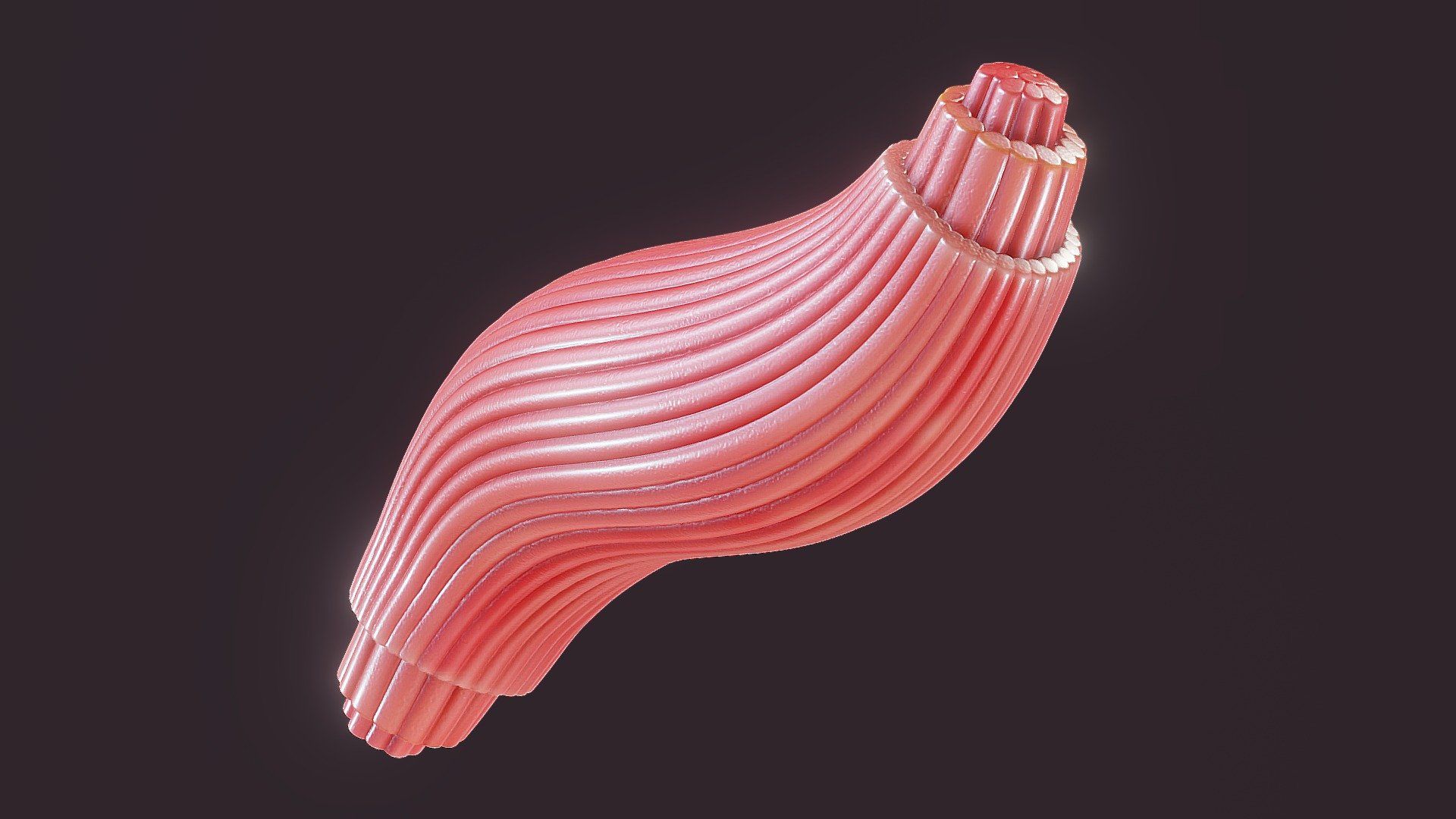 Skeletal Muscle Fiber Cross Section Anatomy - Buy Royalty Free 3D model by zames1992 [f4cfd2a ...
