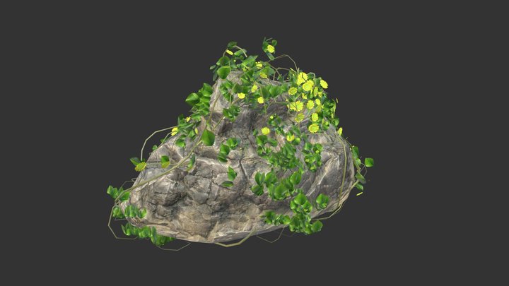 Big-rock 3D models - Sketchfab