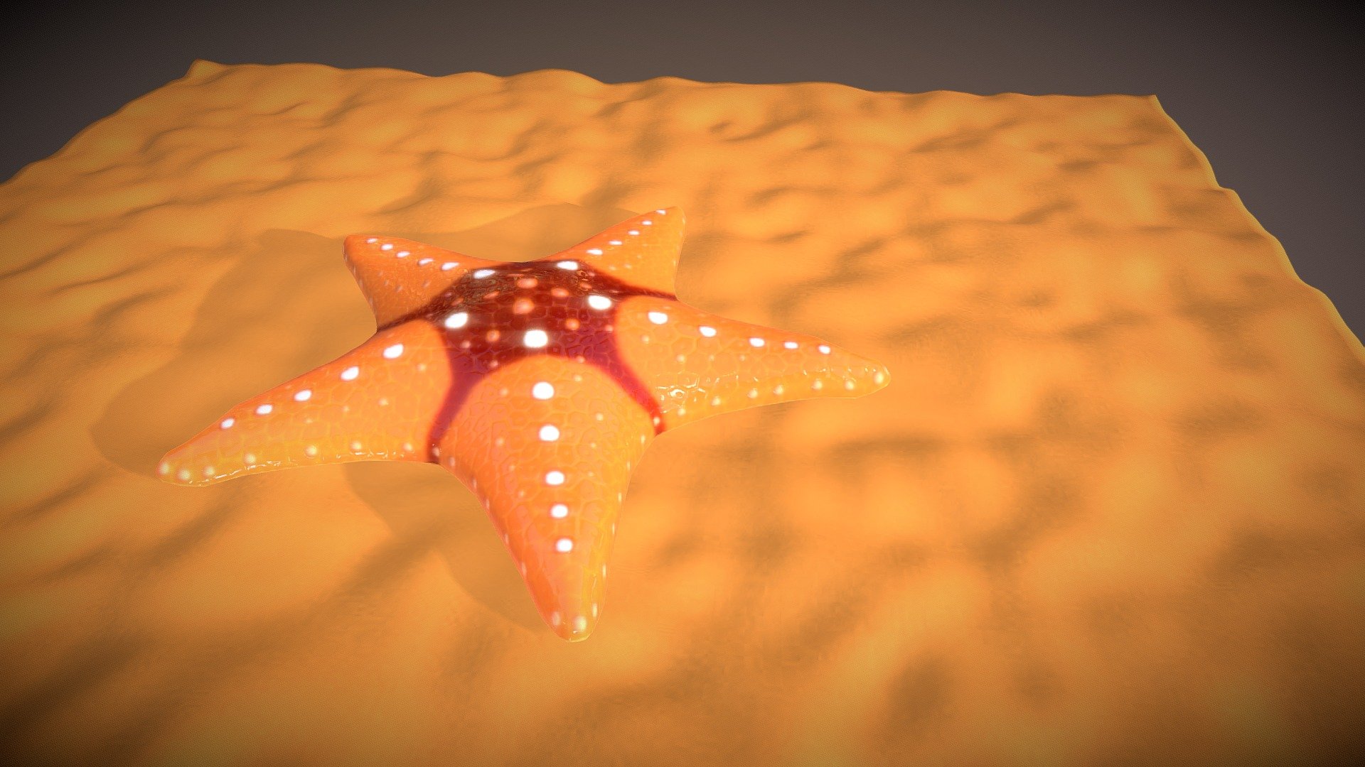 starfish - Buy Royalty Free 3D model by pinotoon [f4da3f6] - Sketchfab ...