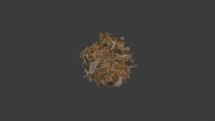 Marijuana-flower 3D models - Sketchfab