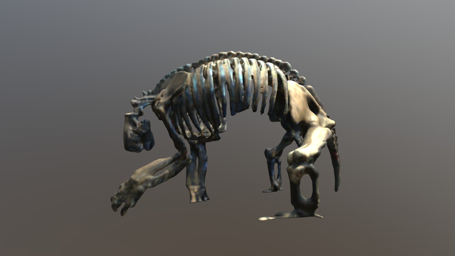 Giant Ground Sloth Replica (VCU_3D_3575) - 3D model by Virtual Curation ...