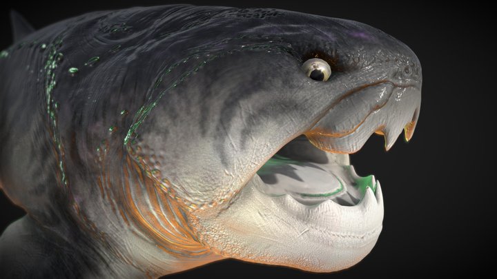 Dunkleosteus 3D models - Sketchfab