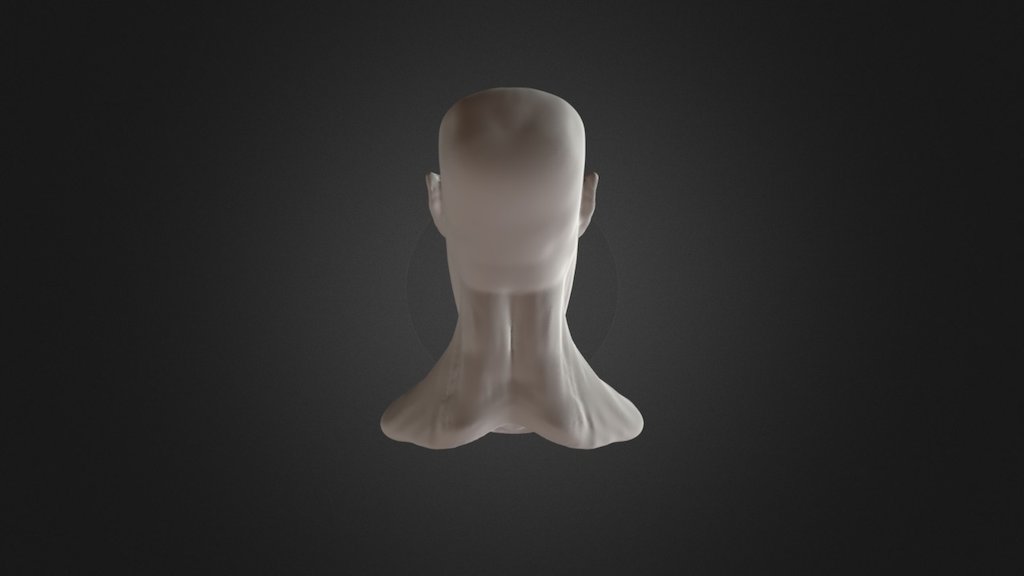 Head Sculp - 3D model by mesilyfe [f4e7627] - Sketchfab