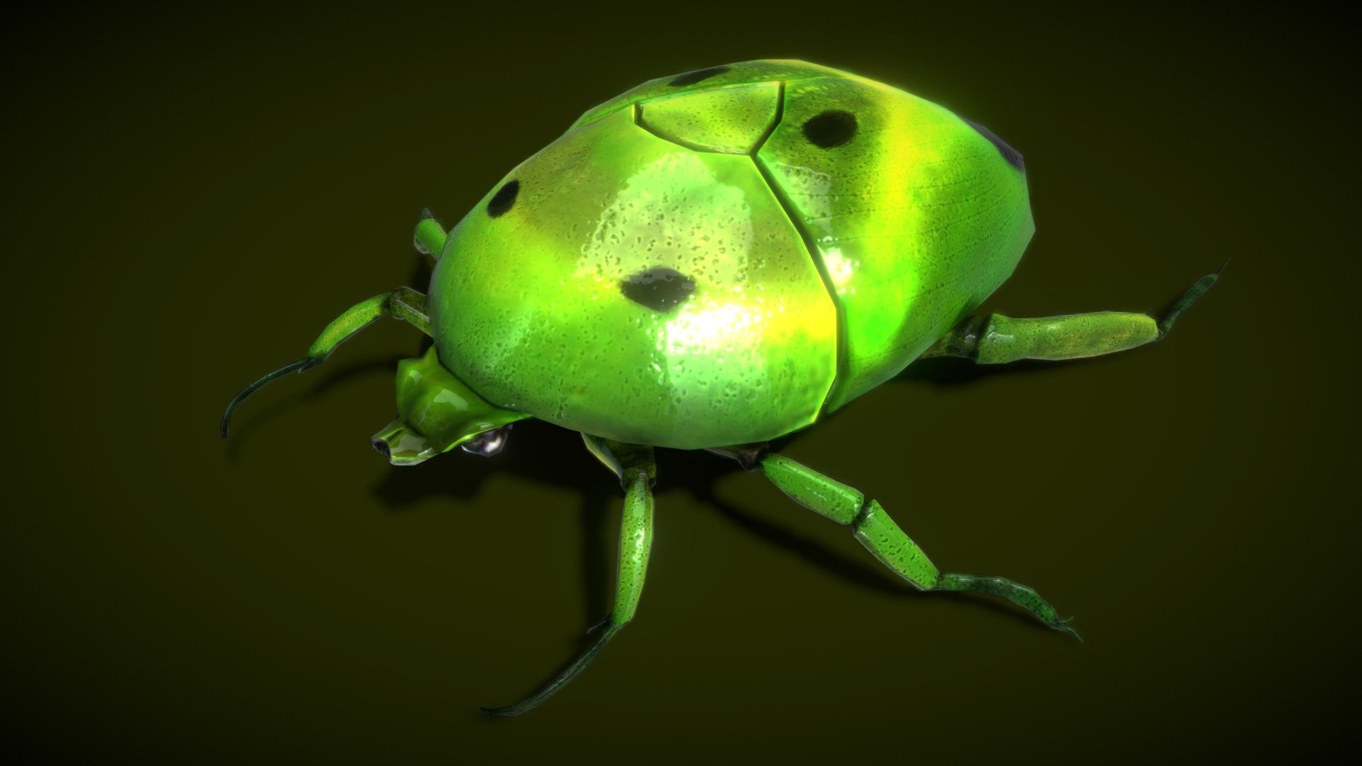 Beetle Lowpoly 3D - Buy Royalty Free 3D model by vustudios [f4e7f71 ...