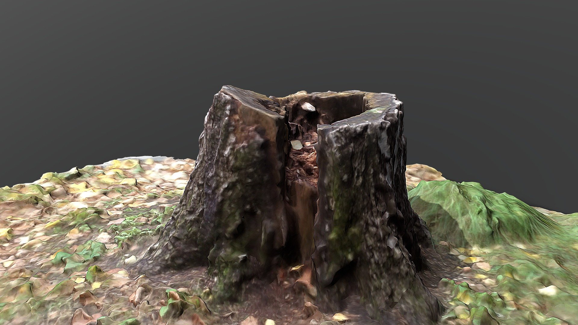 Stump (RAW scan) - Download Free 3D model by LeroyCake [f4f6cb5 ...