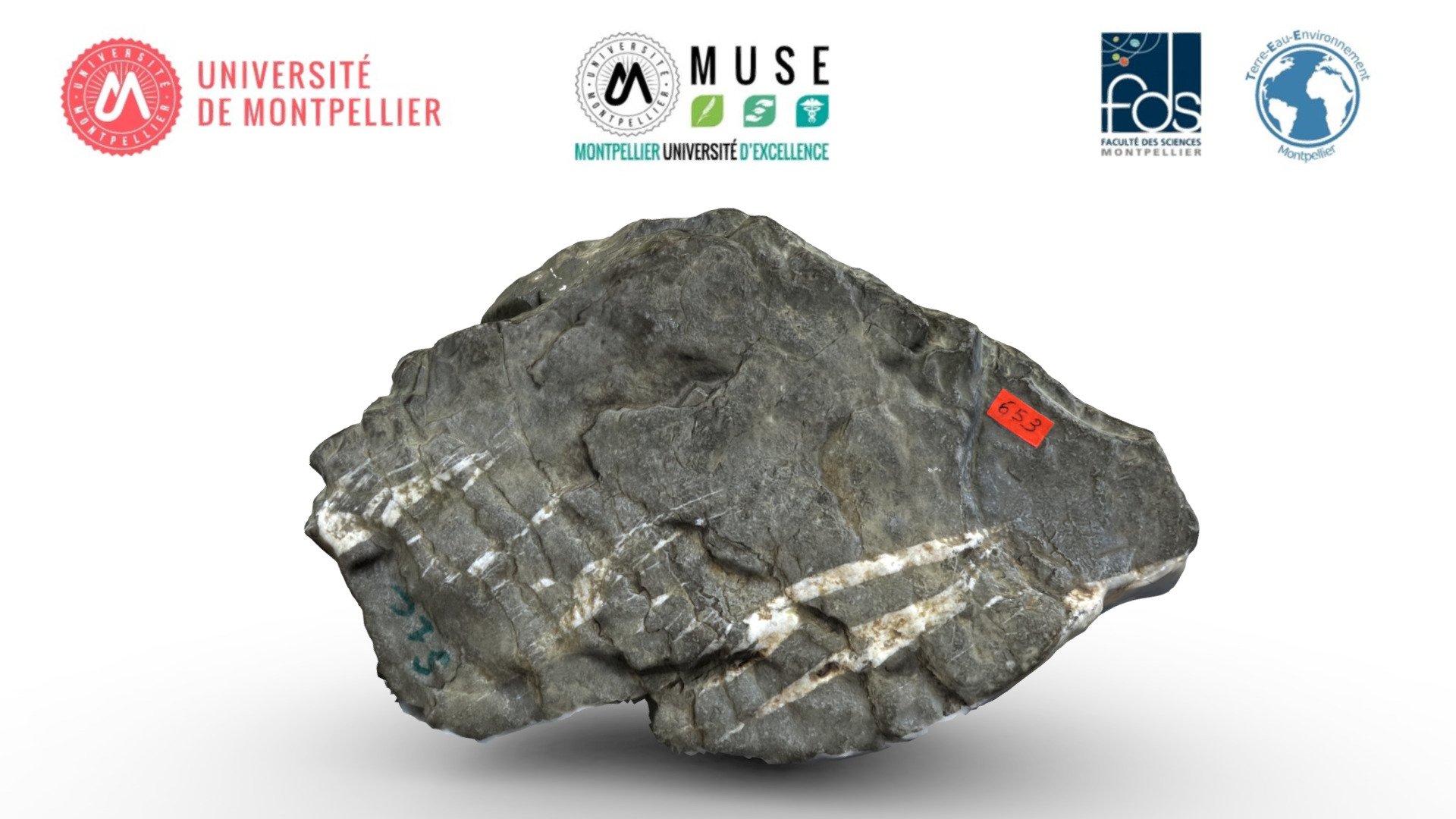 TectoUM - 653B - 3D model by Université Montpellier - Géosciences ...