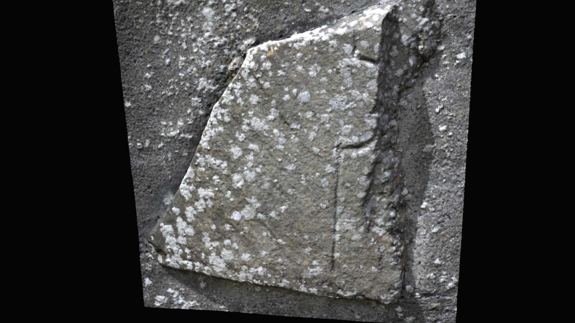 Gallen Incised Fragment (OF014-029059-) - Download Free 3D model by ...