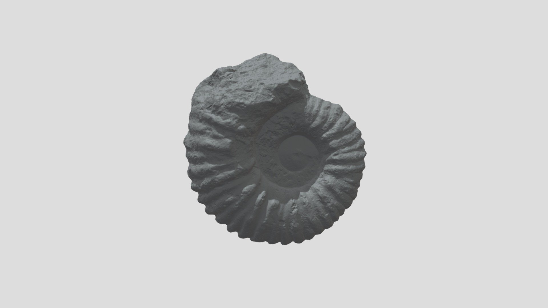 Ammonite - 3D model by steffenBakksigils (@steffenBakk) [f507b3a ...