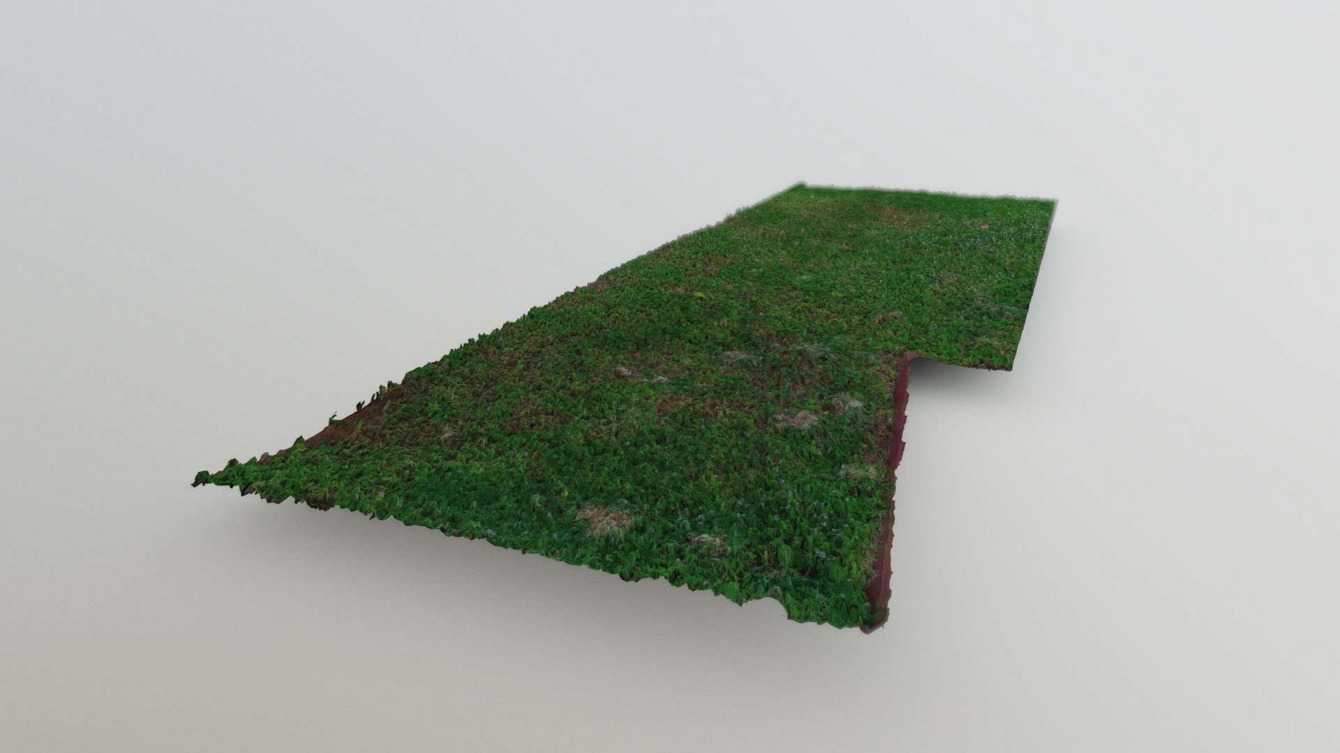 Grass - Download Free 3D model by Mehmet Kozal (@mkozal) [f50b15d ...