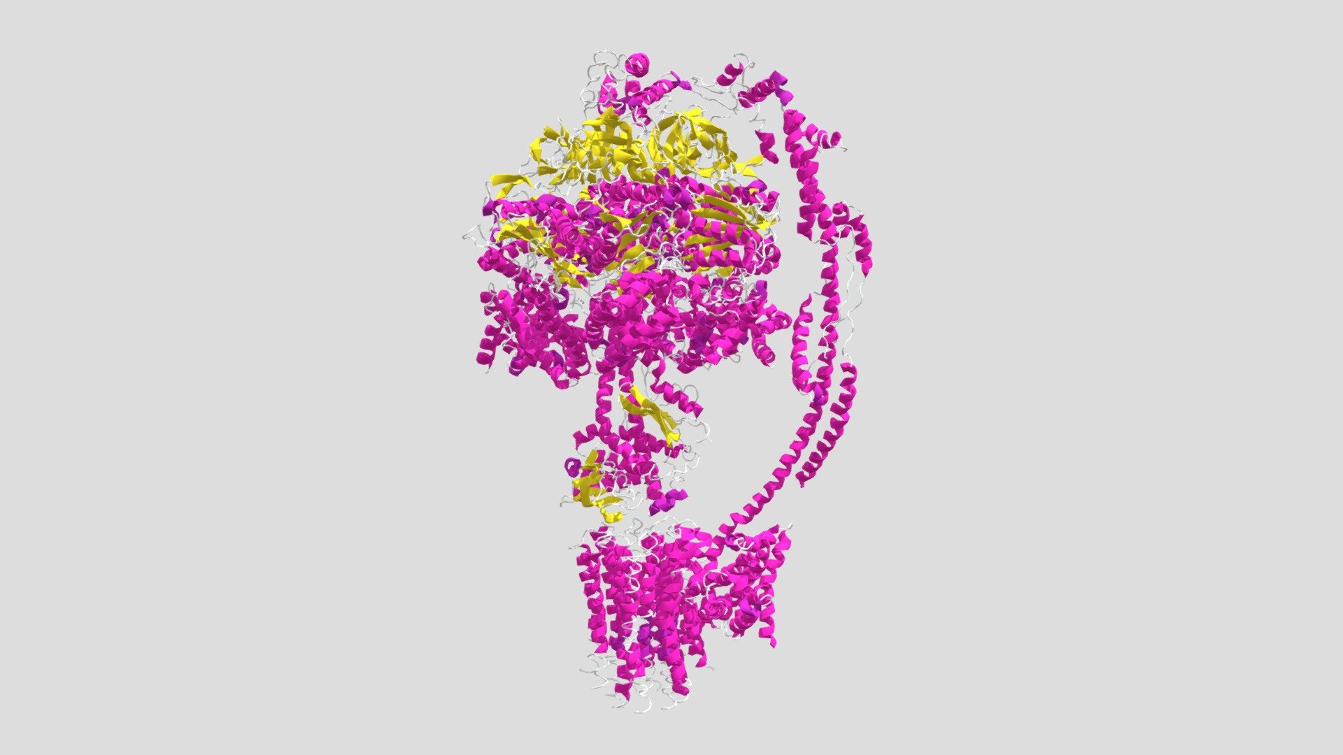 ATP Synthase - Download Free 3D model by Vera4Art (@Elvera.Viljoen ...