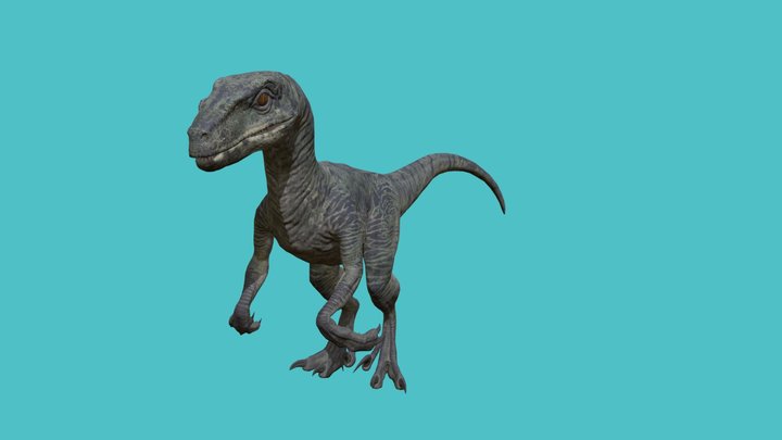 Raptor 3D models - Sketchfab