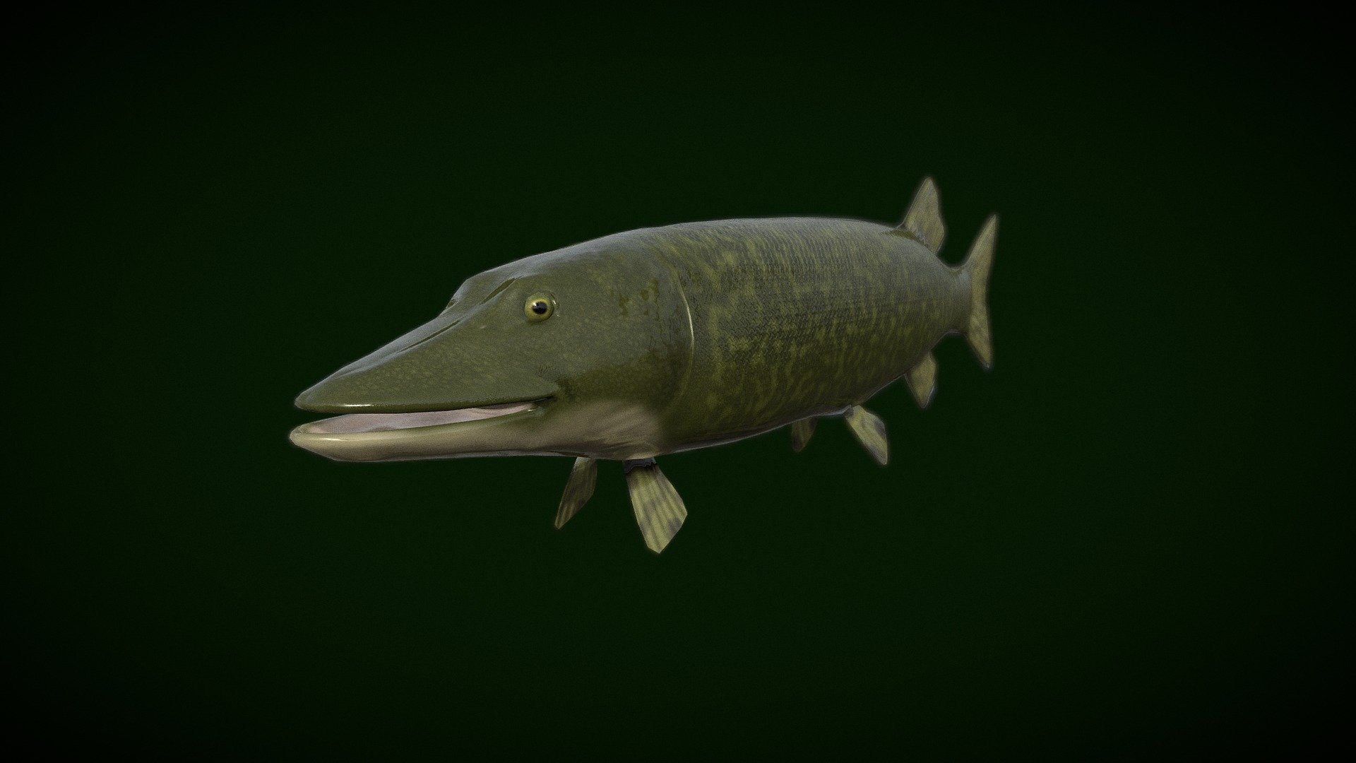 Pike (LowPoly) - 3D model by DEBAD6 [f5230a7] - Sketchfab