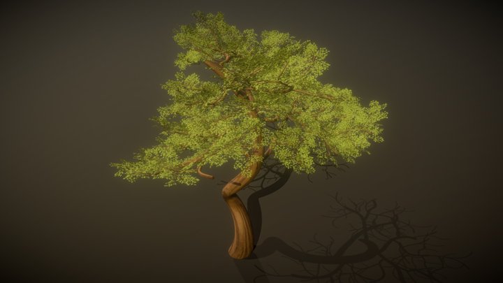 Tree 3D models - Sketchfab