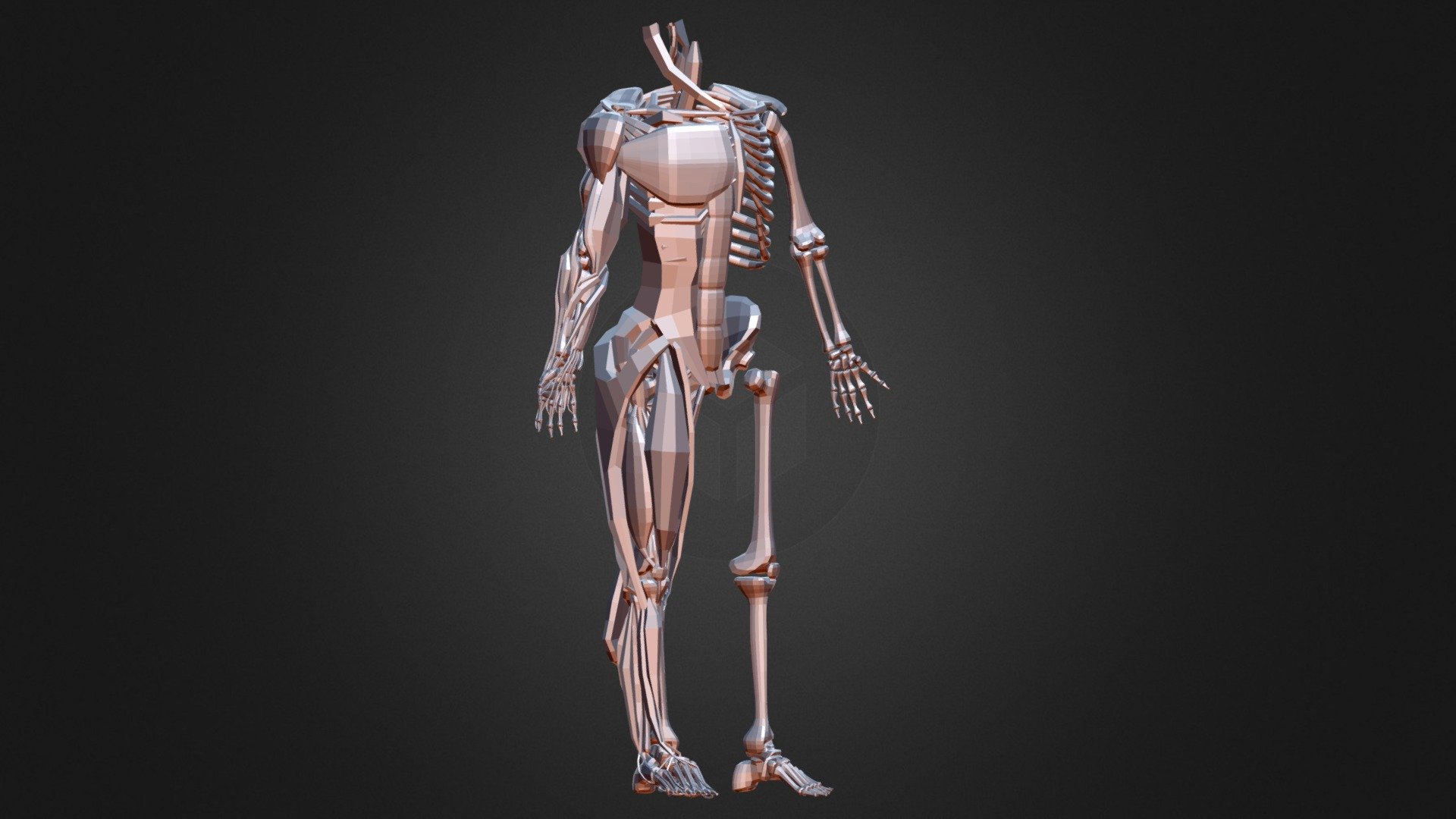 LOW POLY BOX PLANAR MUSCLE 5-10-2022 - Download Free 3D model by ...