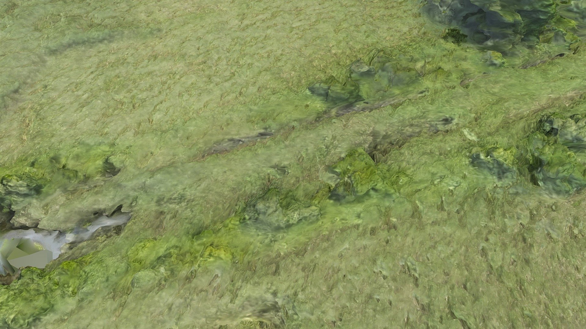 Hodori marsh- 01 old - 3D model by META jeju (@Hyun-seok.Jun) [f52cbe3 ...
