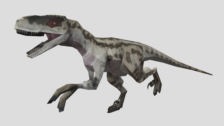 Raptor 3D models - Sketchfab