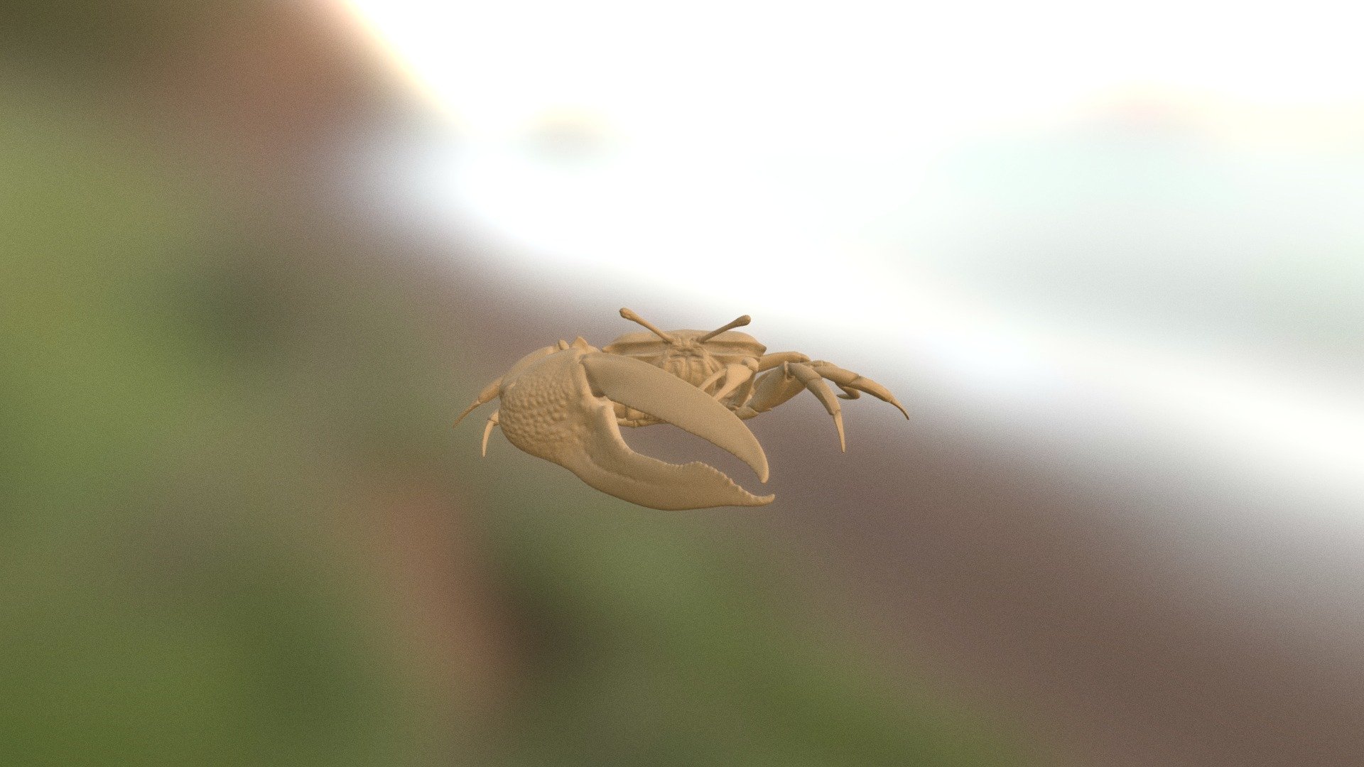 Fiddler_Crab - 3D model by fdiasdesign [f53adcc] - Sketchfab