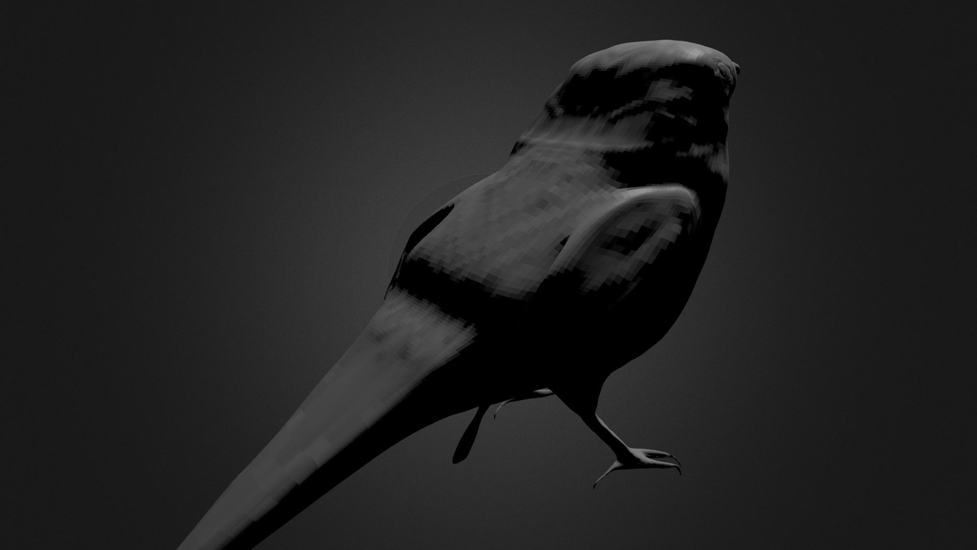 Mocking Bird - 3D model by jonathan_long [f53c2c0] - Sketchfab