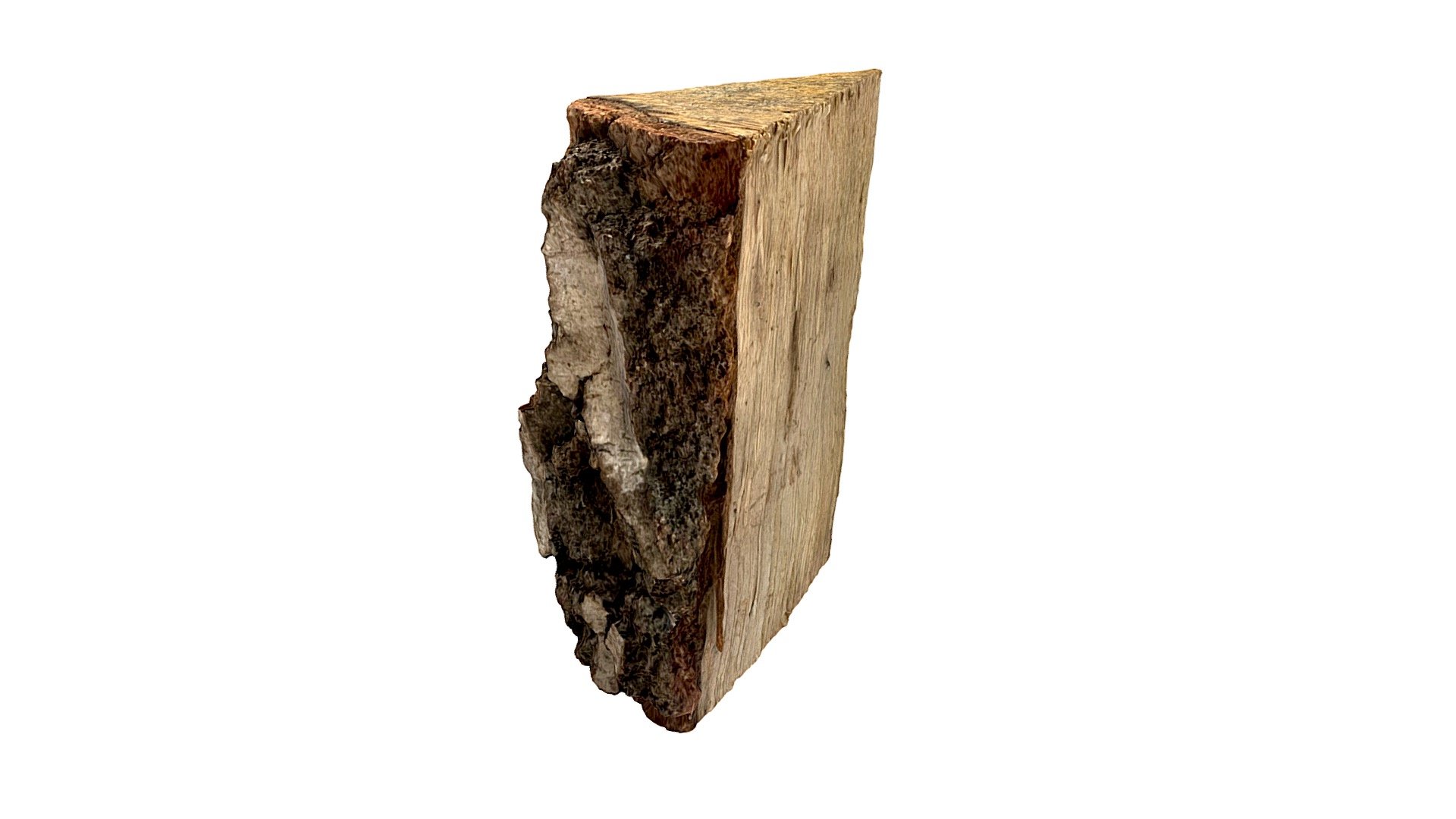 wedge shaped log - Buy Royalty Free 3D model by uStock [f549ad8 ...