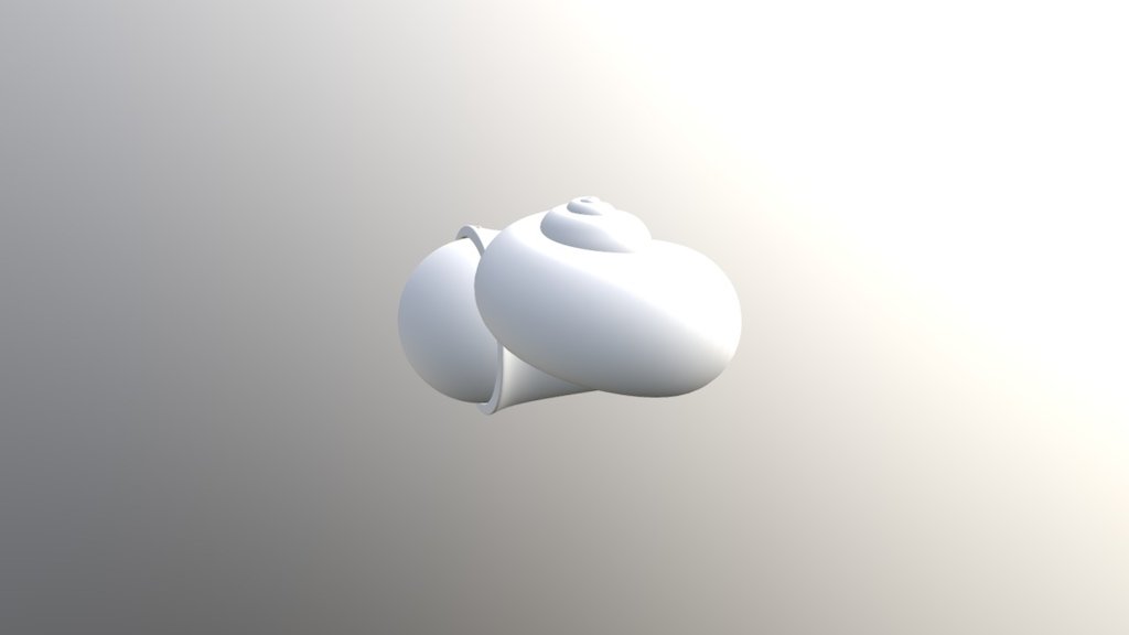 Bilal Shell - 3D model by amb93 [f54b777] - Sketchfab