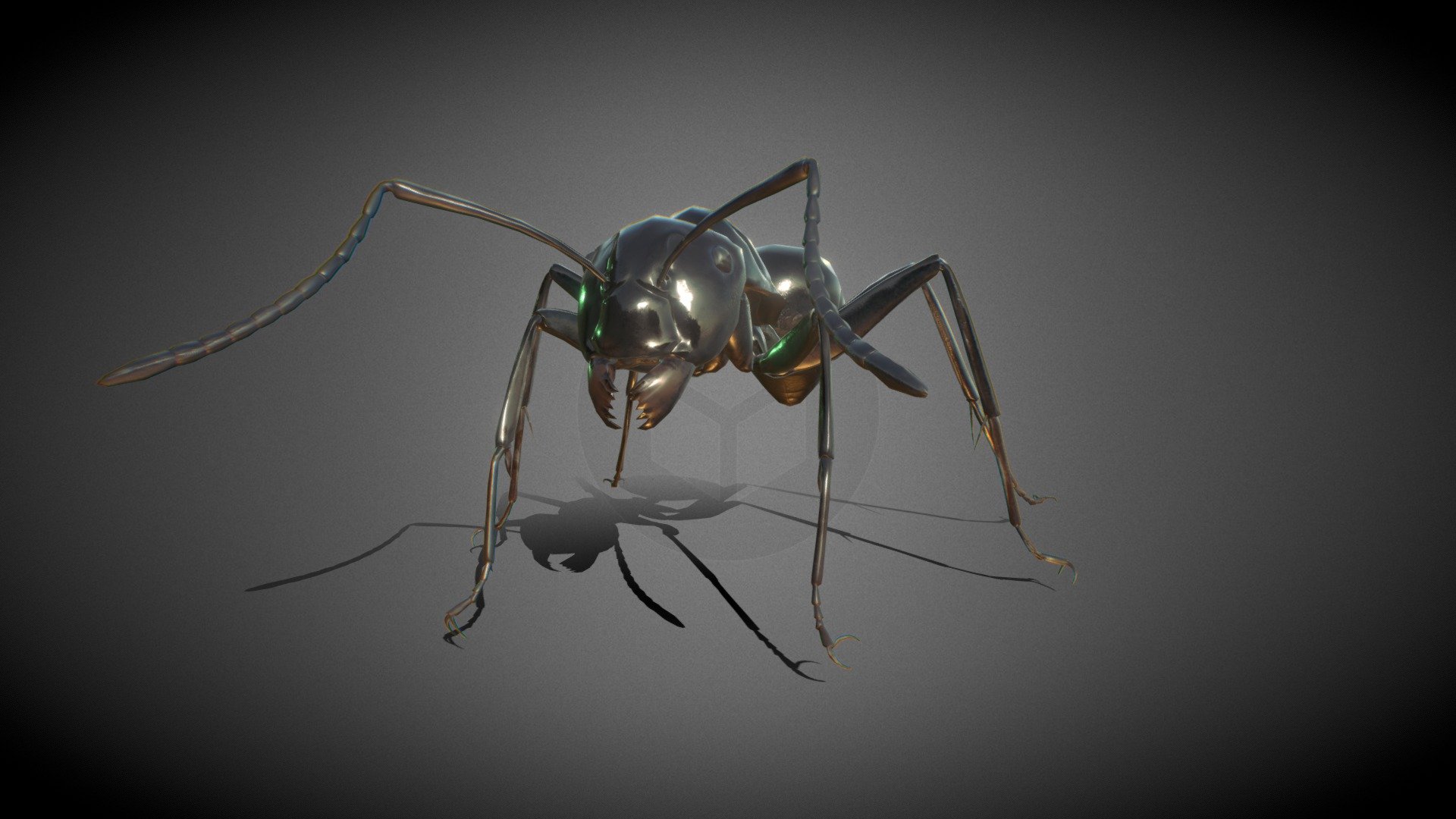 Black Garden Ant - 3D model by nnj3de [f54d1ab] - Sketchfab