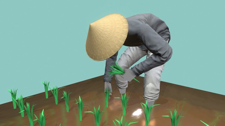 Rice_field 3D models - Sketchfab