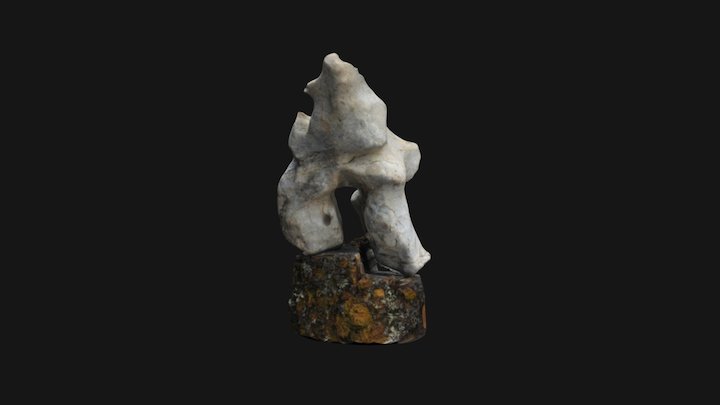 Polymorph 3D models - Sketchfab
