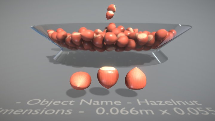 Hazelnut 3D models - Sketchfab
