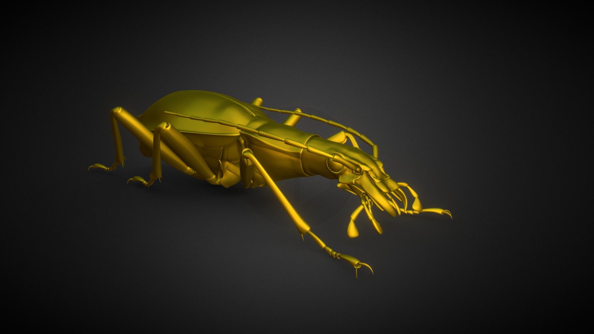 Damaster Blaptoides - 3D model by mohamedhussien [f55f9da] - Sketchfab