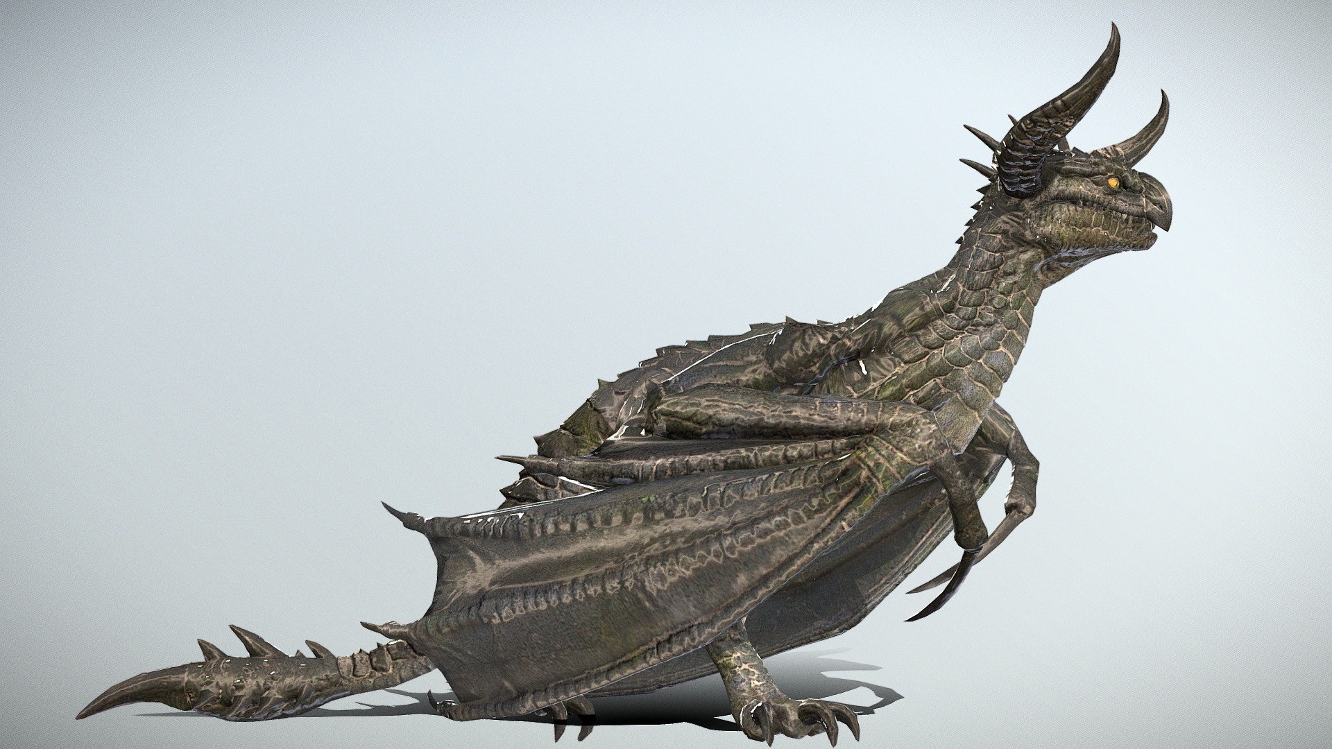 Dragon Animated - Buy Royalty Free 3D model by aaokiji [f55fc08 ...